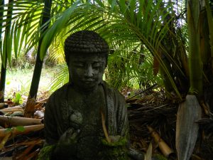 private retreat | Susan Gregg - Toltec Wisdom Life Coaching