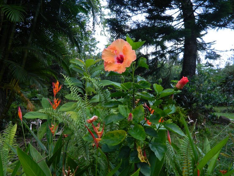 private retreat | Susan Gregg - Toltec Wisdom Life Coaching